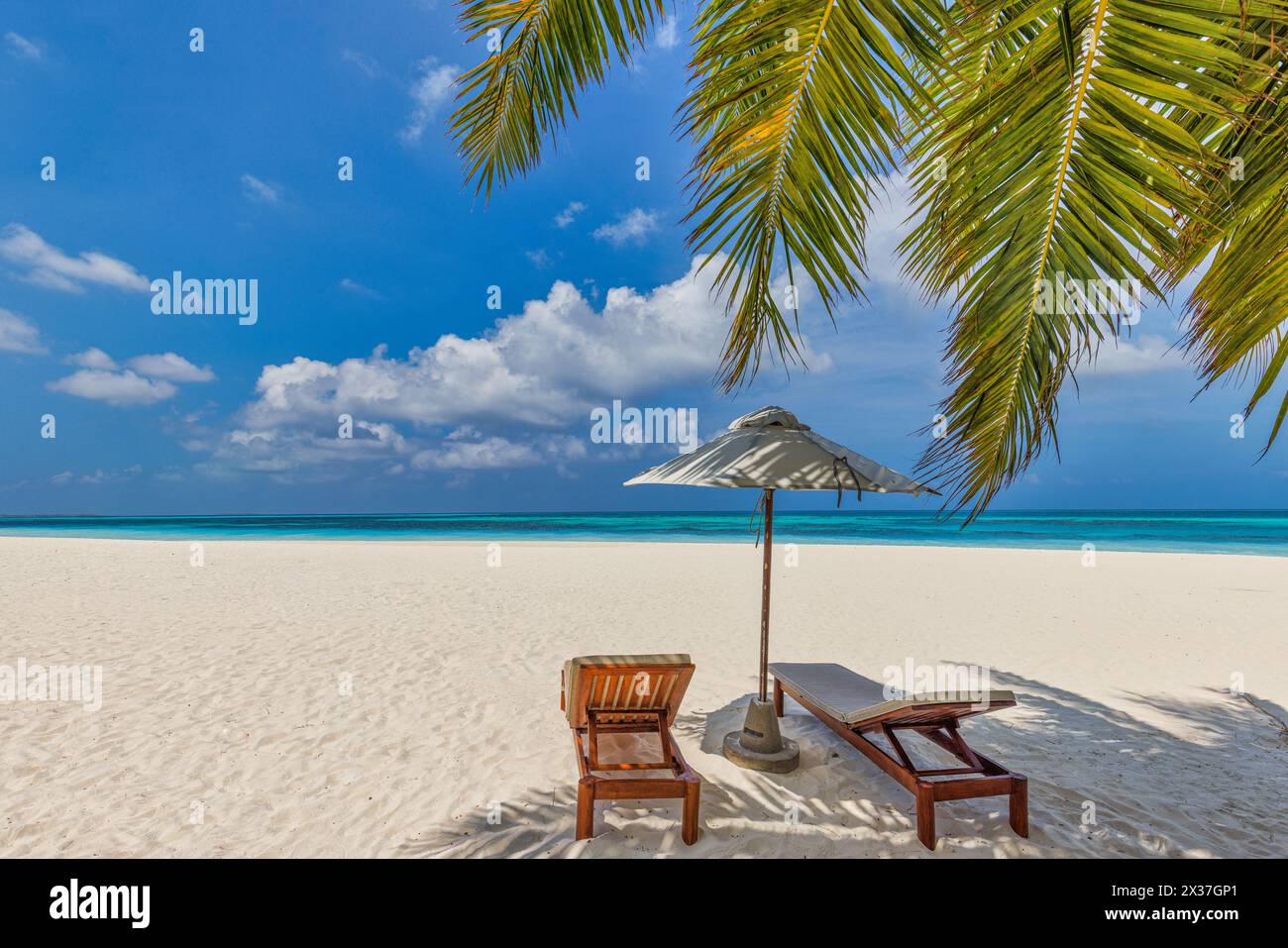 Tropical beach nature as summer landscape with lounge chairs and palm ...