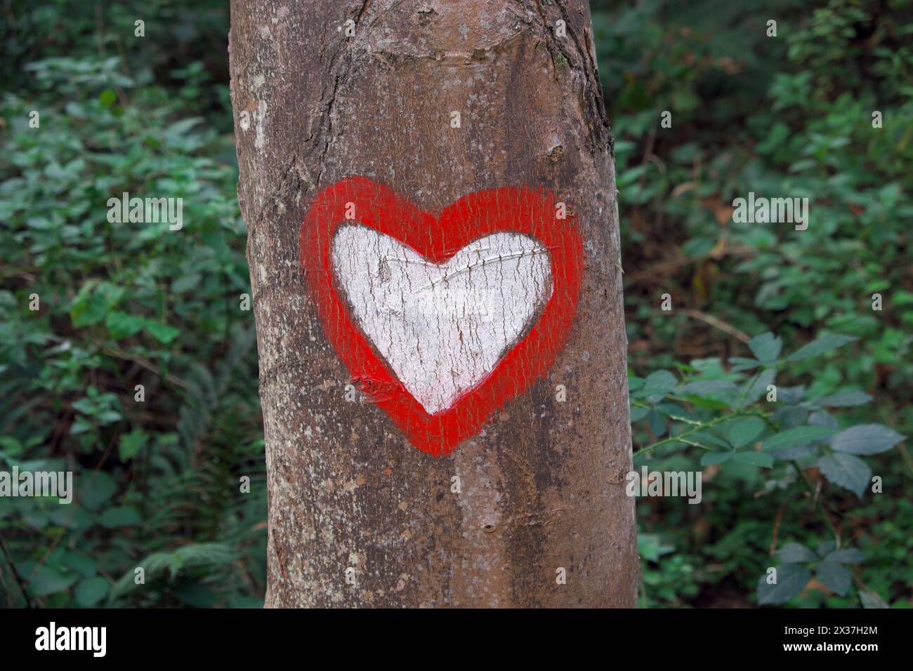 white and red heart shape hiking trail marker along the footpath to the ...