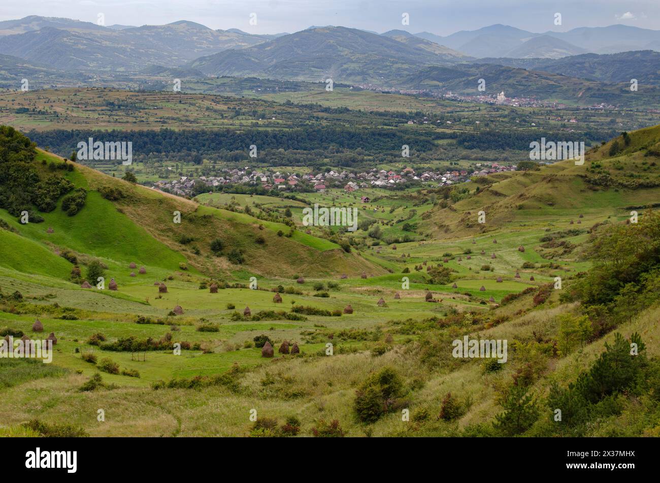 An open valley with villages in Maramures, Romania with many haystacks ...