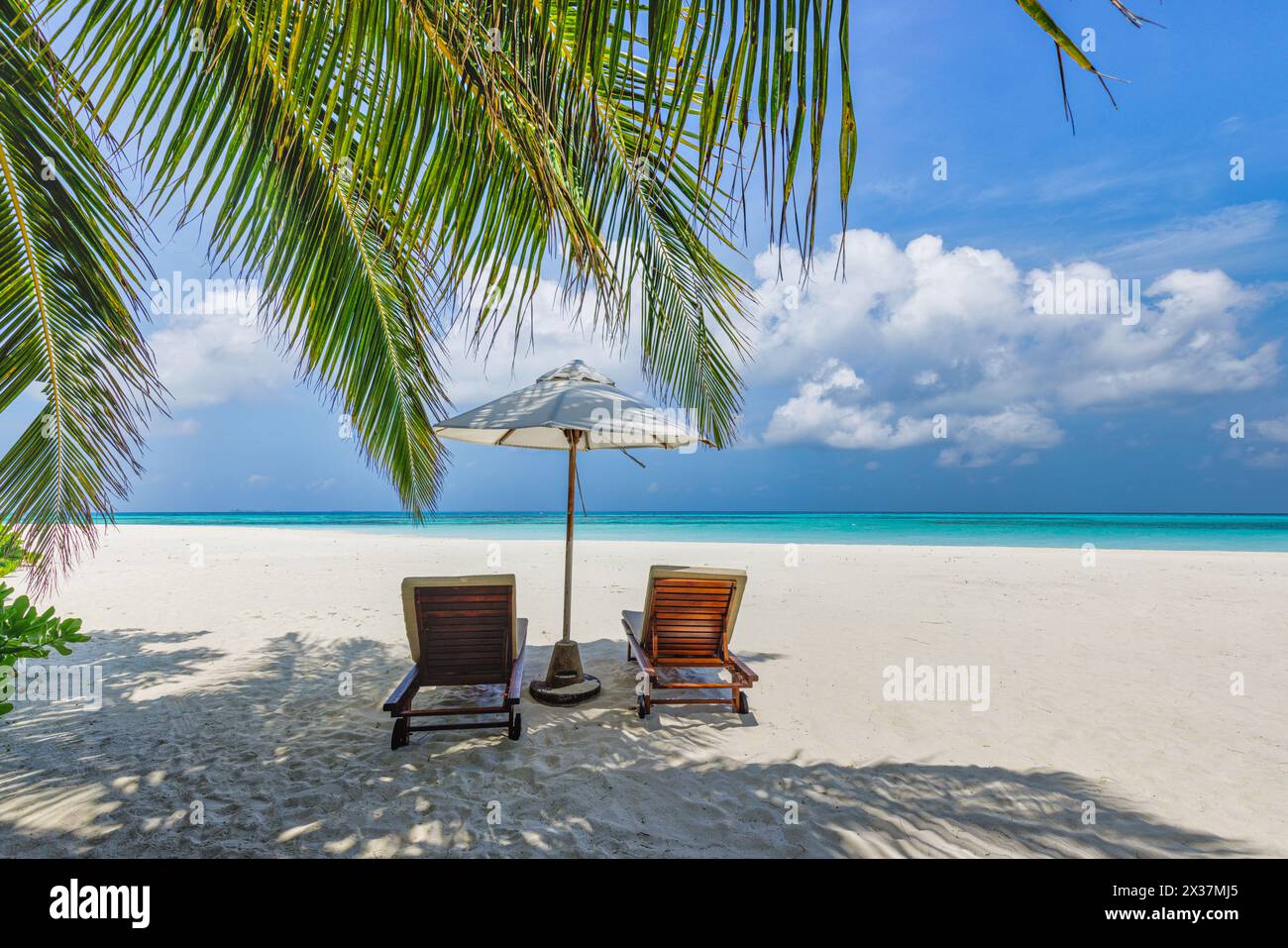 Tropical paradise beach. Romantic sand and coco palms travel tourism ...