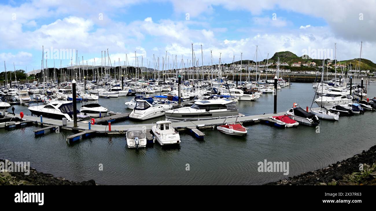 Around the UK - Conwy Marina, Conwy, North Wales Stock Photo - Alamy