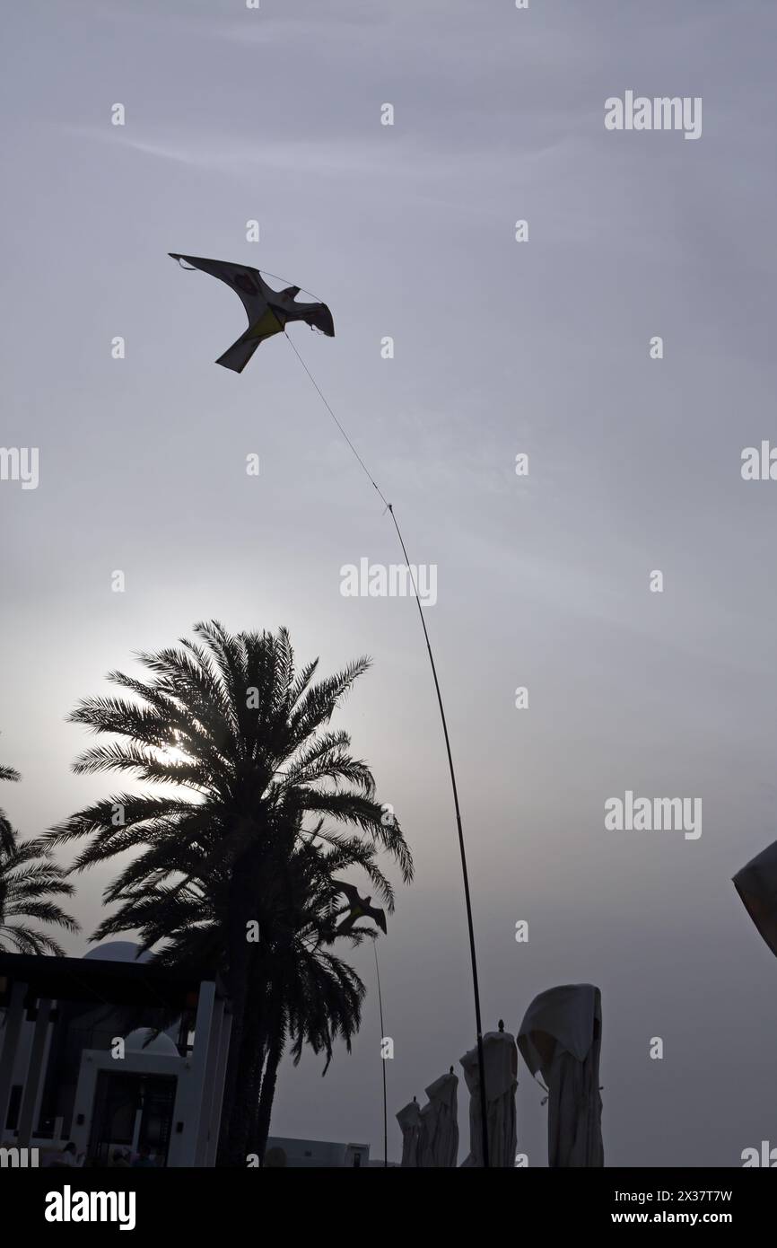 Hawk Scarer Kite used as a Deterrent to Birds Flying Above Infinity ...