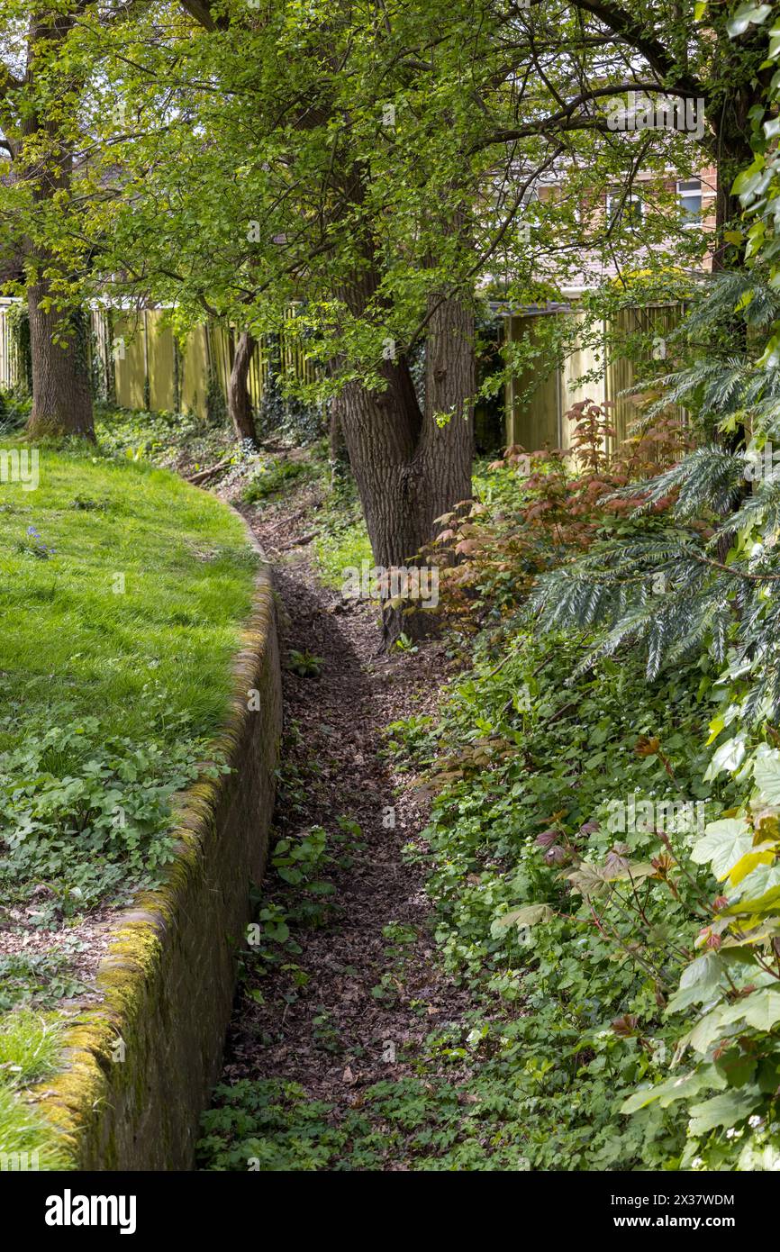Early Spring Day AT Worth Park Crawley West Sussex UK Stock Photo - Alamy
