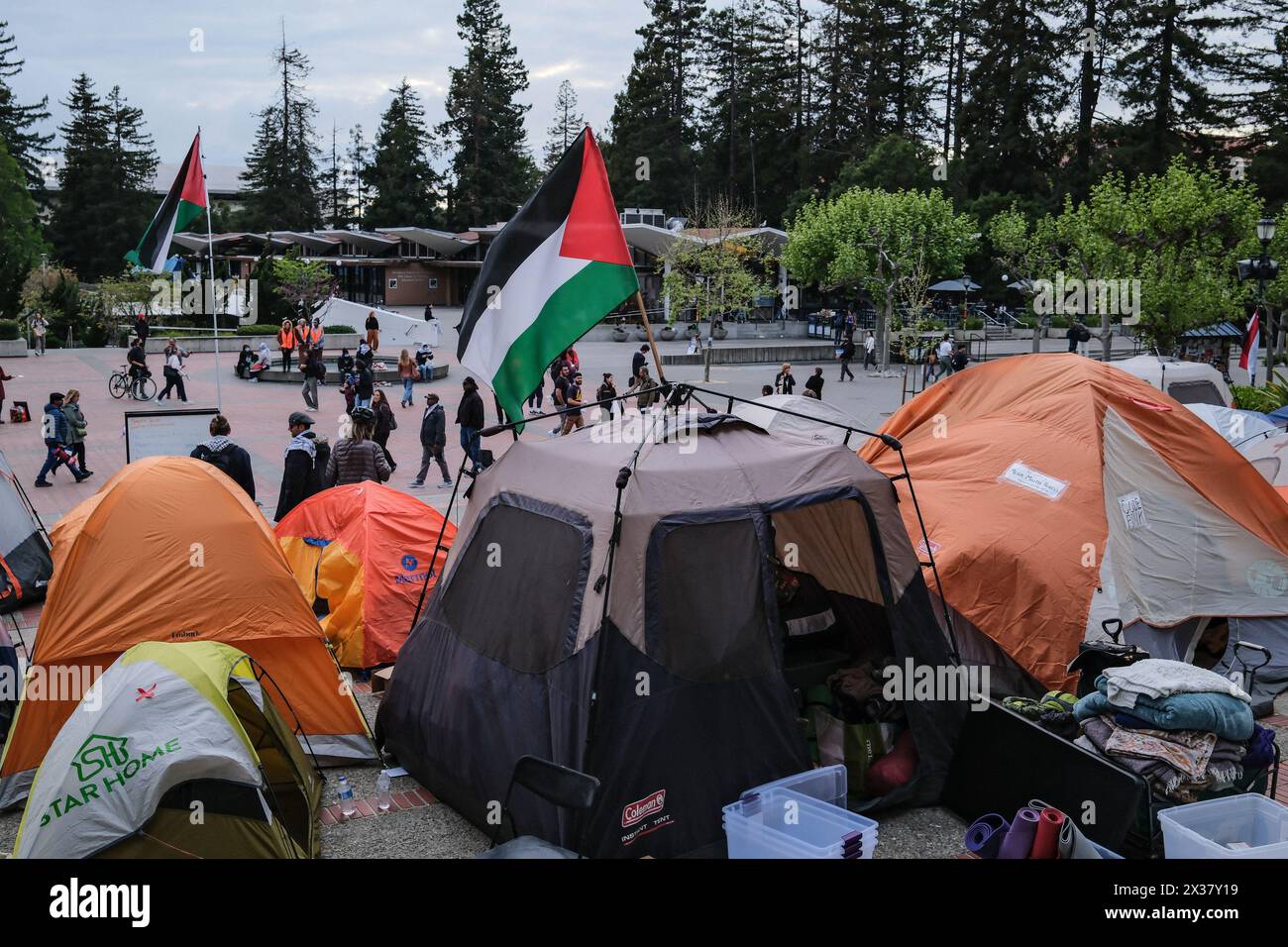 The tents with flags of Palestine are seen outside the Sproul Hall at ...