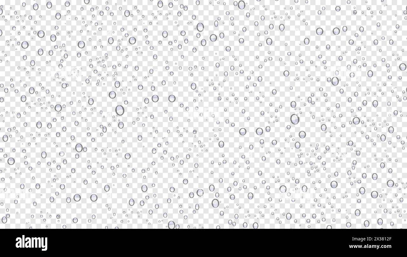 Drops water rain on transparent background, realistic style, vector ...