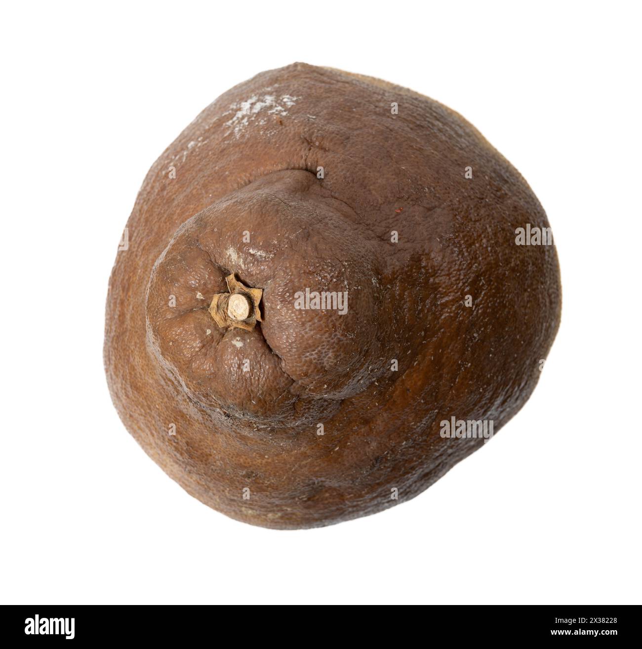 top view badly rotten and moldy peento on white Stock Photo - Alamy