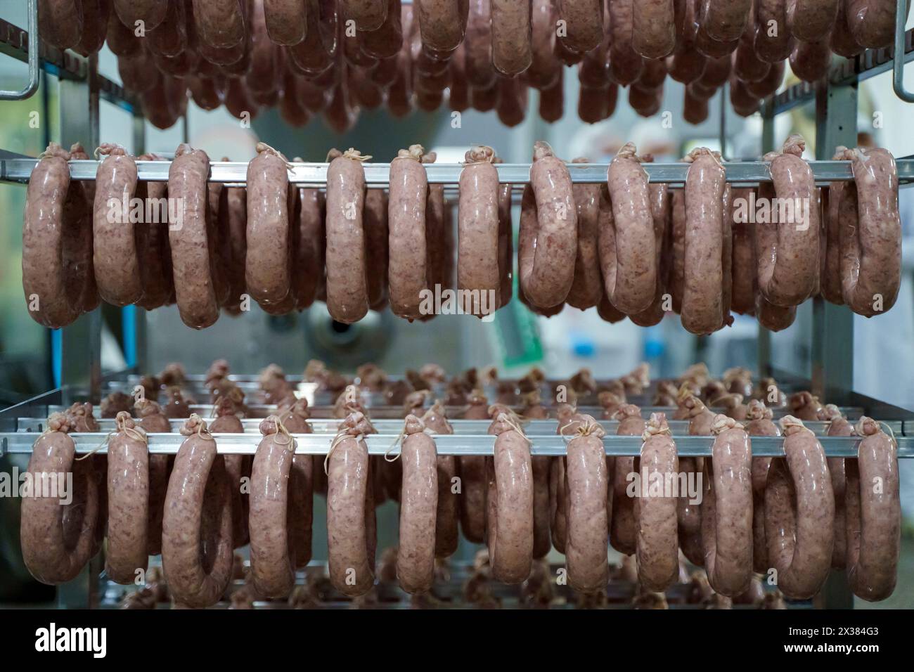 Production of meat sausages and sausages from pork and beef. Meat factory. High quality photo ...