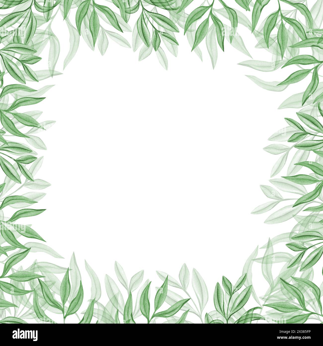 Abstract green leaves. Square frame with olive plants. Copy space for ...