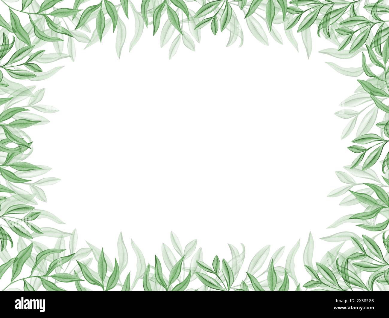Oleander drawing hi-res stock photography and images - Alamy