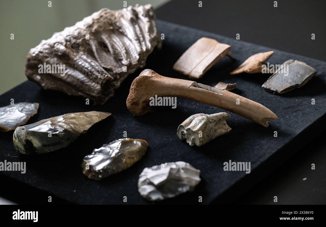 Flint tools hi-res stock photography and images - Alamy