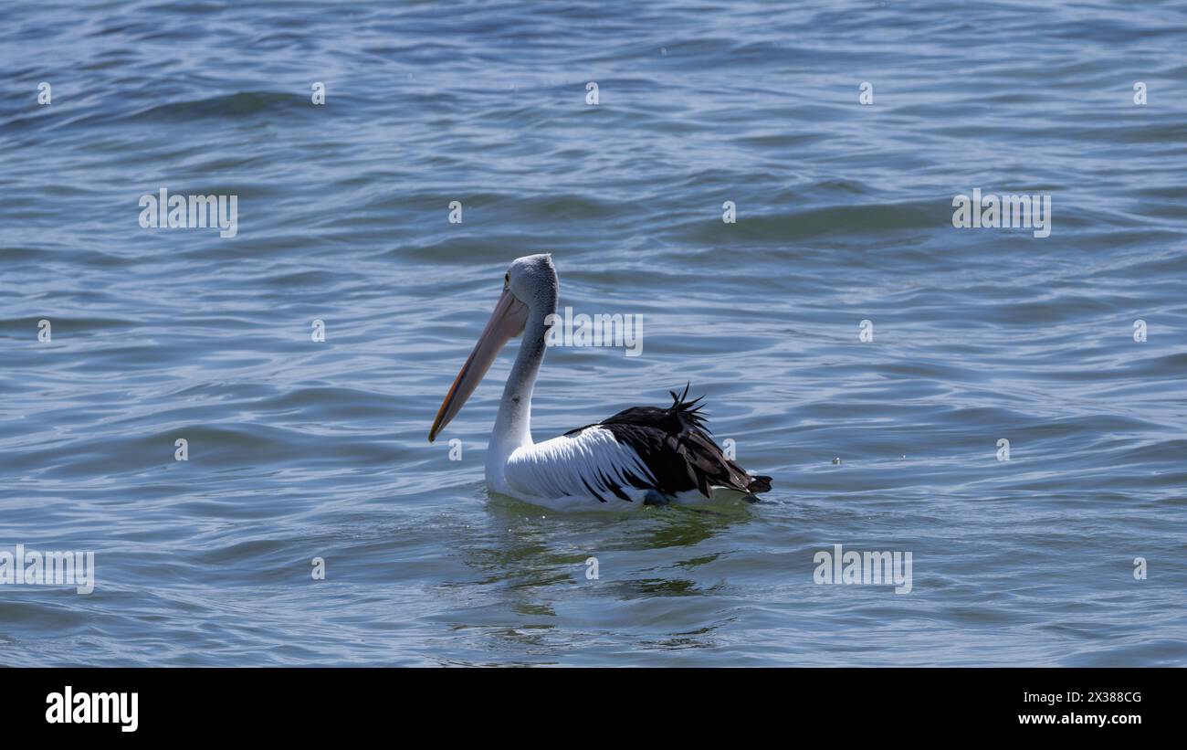 Georges basin hi-res stock photography and images - Alamy