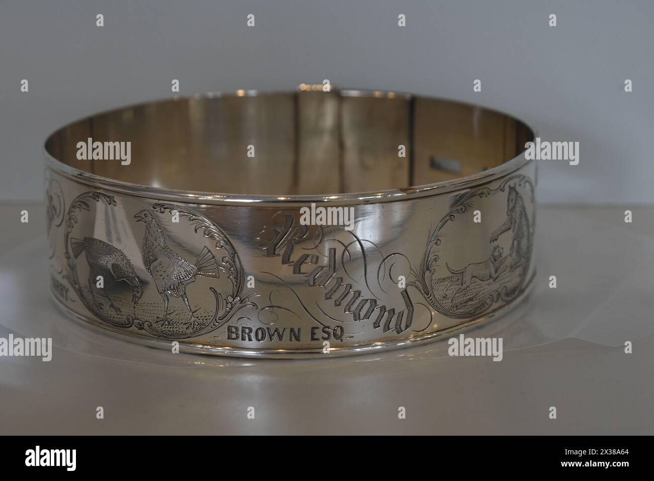 Large silver dog hi-res stock photography and images - Alamy