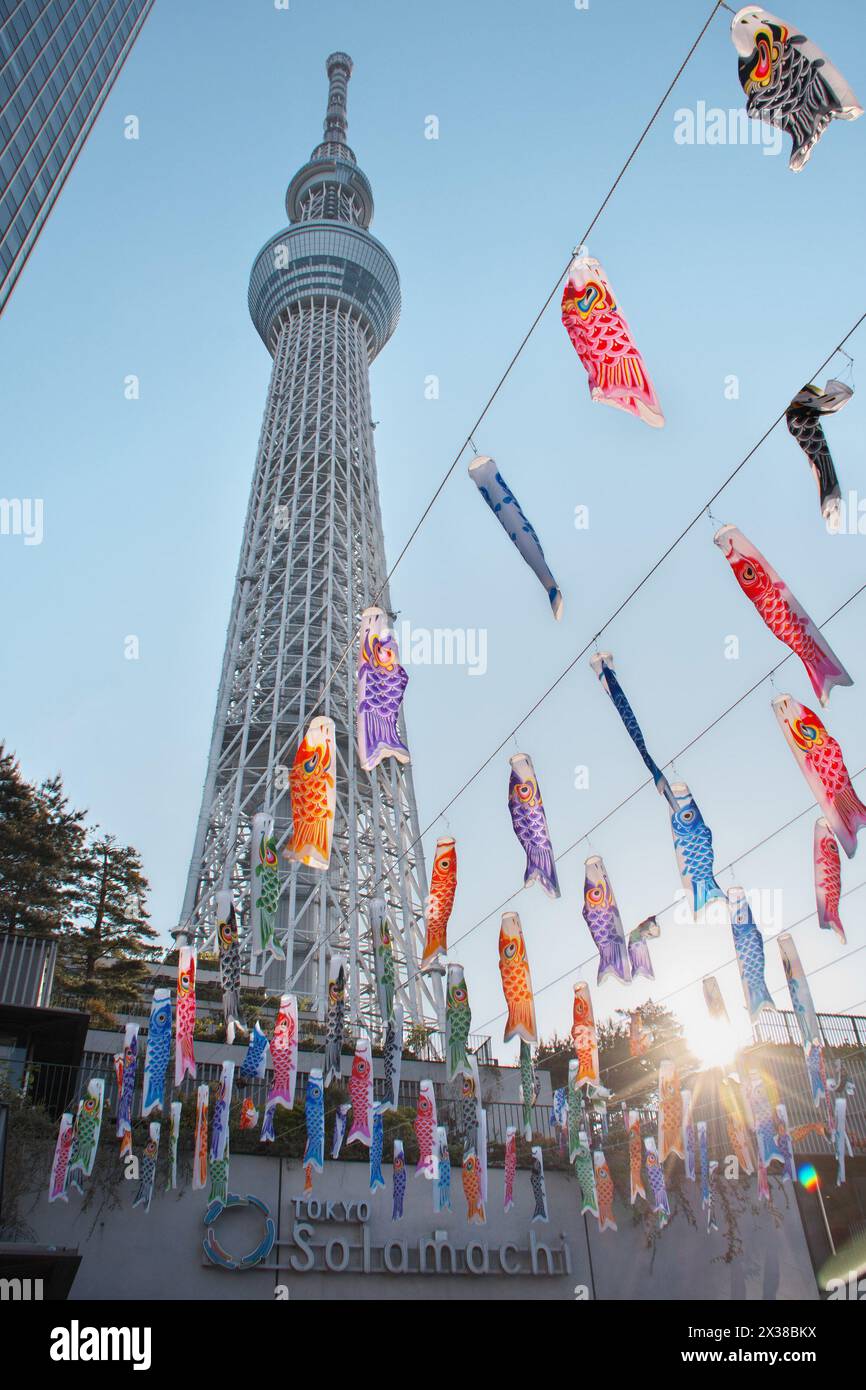 Tokyo, Japan. 25th Apr, 2024. Carp Streamers are seen on display around ...
