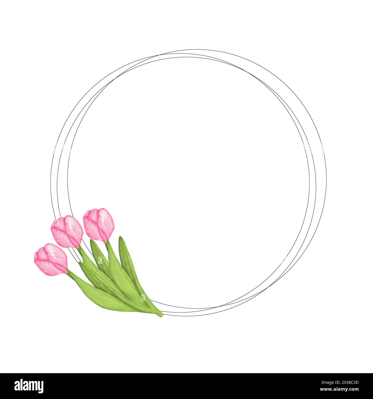 Watercolor circle tulip frame. Hand drawn pink tulip flowers for design ...