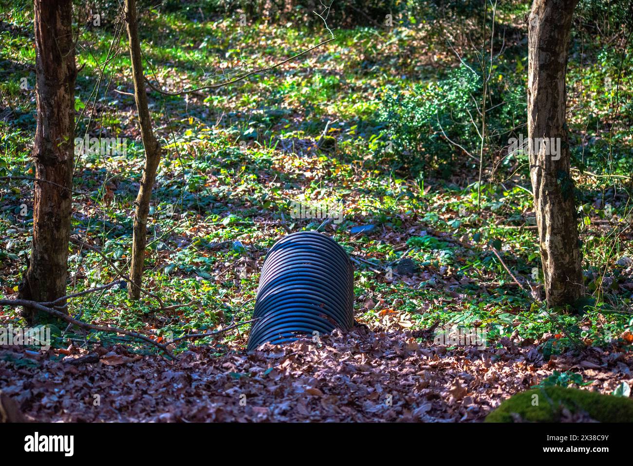 A large pipe emerges from under the soil, a man-made feature amidst the ...