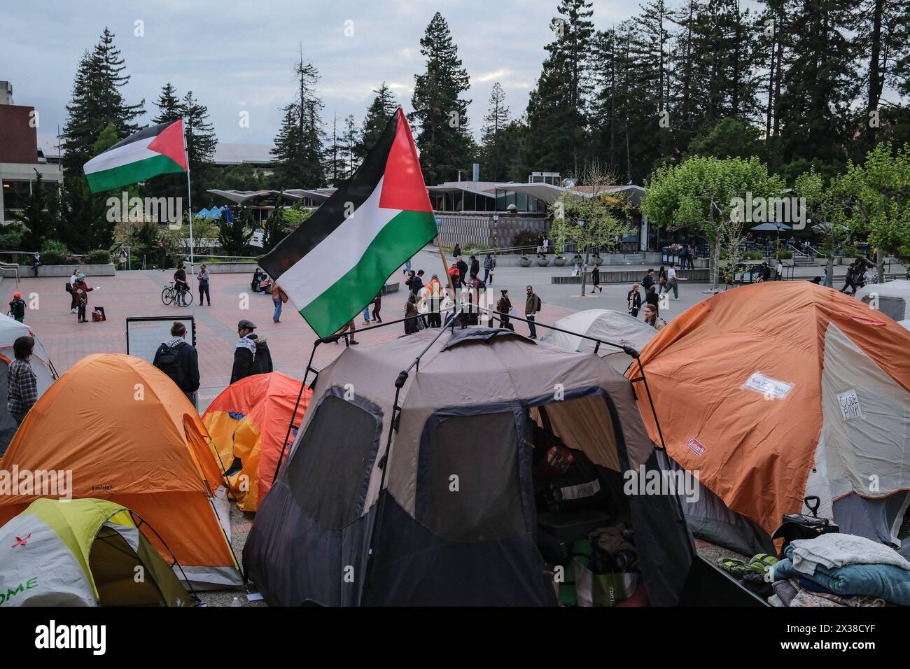 The tents with flags of Palestine are seen outside the Sproul Hall at ...
