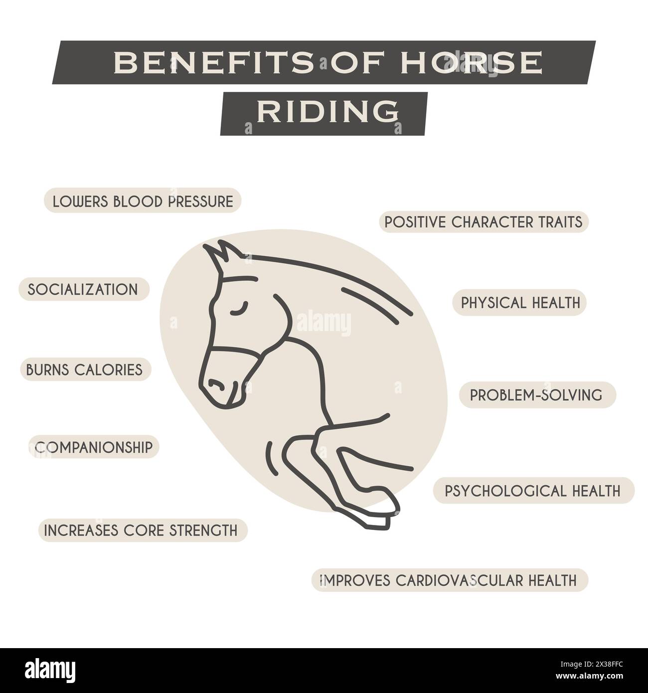Benefits of horse riding square banner. Equestrian infographic poster ...