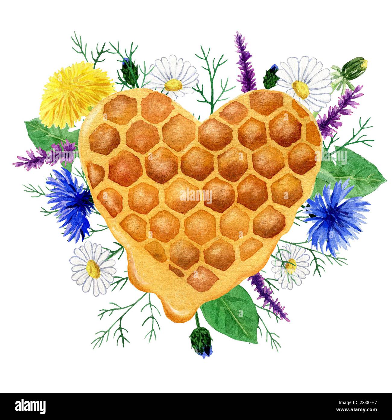 Watercolor composition with honeycombs in the shape of a heart, with ...
