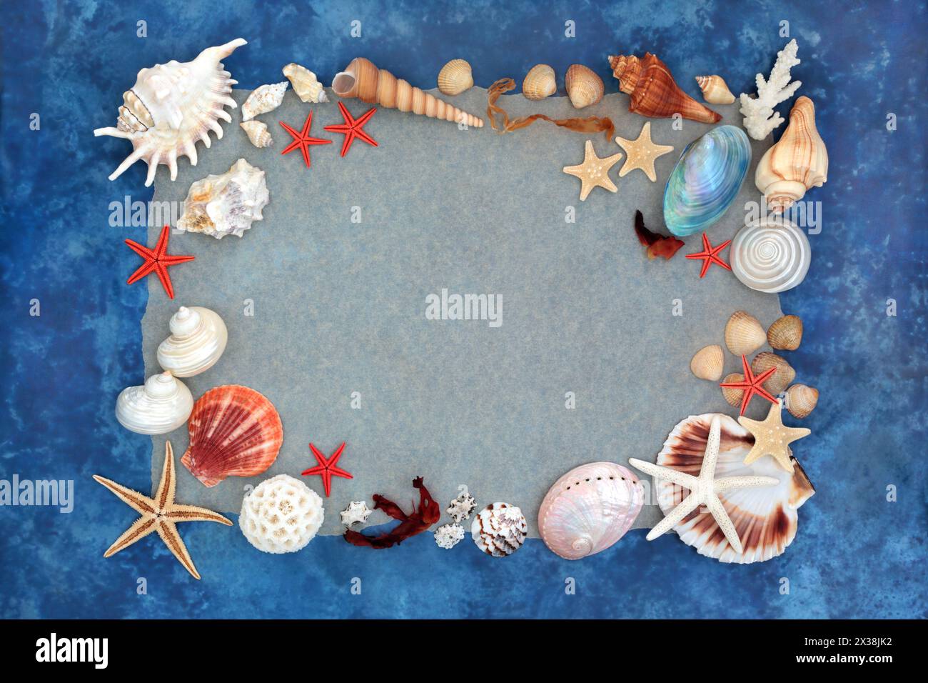 Seashell assortment abstract background border on rustic mottled blue ...