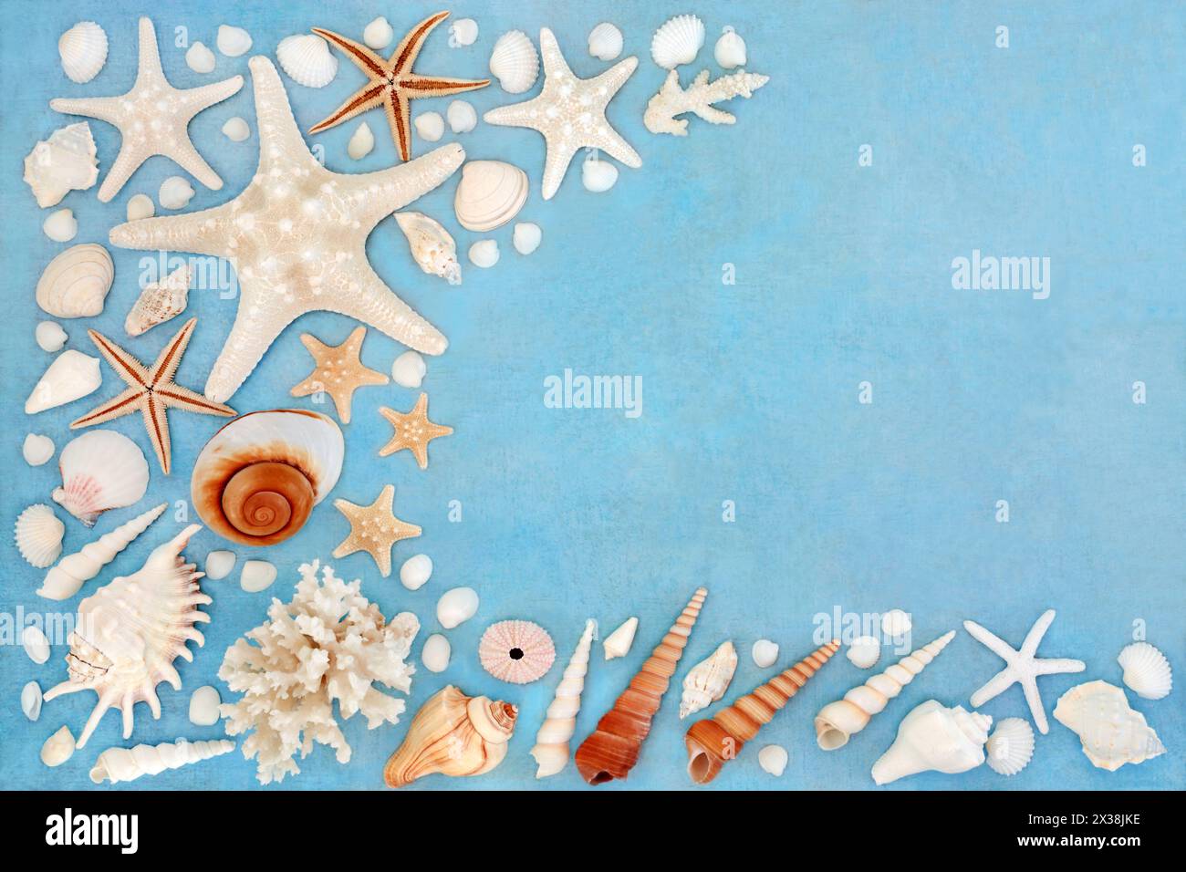 Sea shell abstract background border on rustic mottled blue. Natural ...