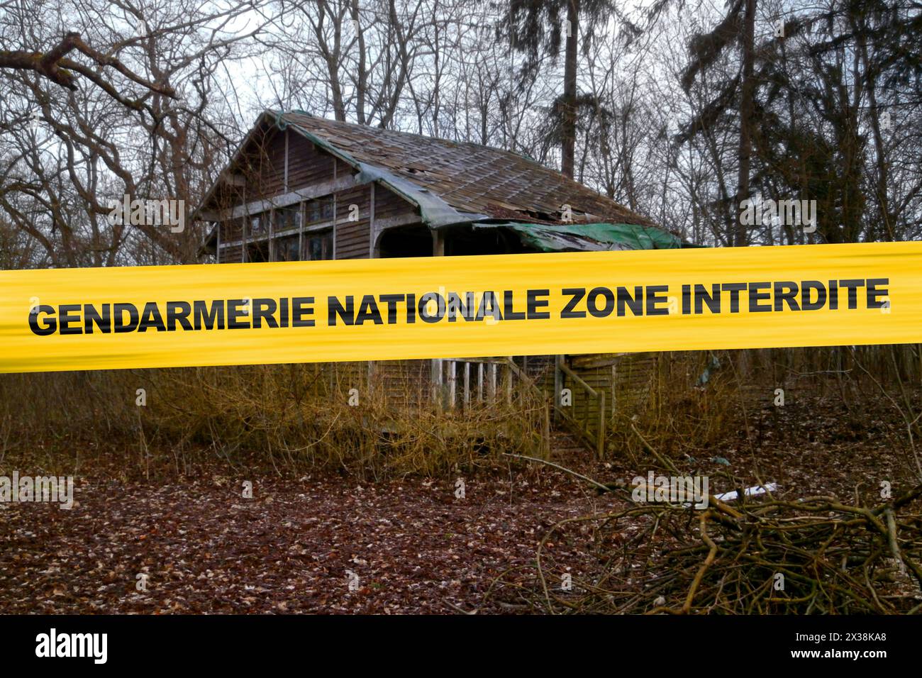 Abandoned cabin in the woods with a cordon tape with written in it in ...