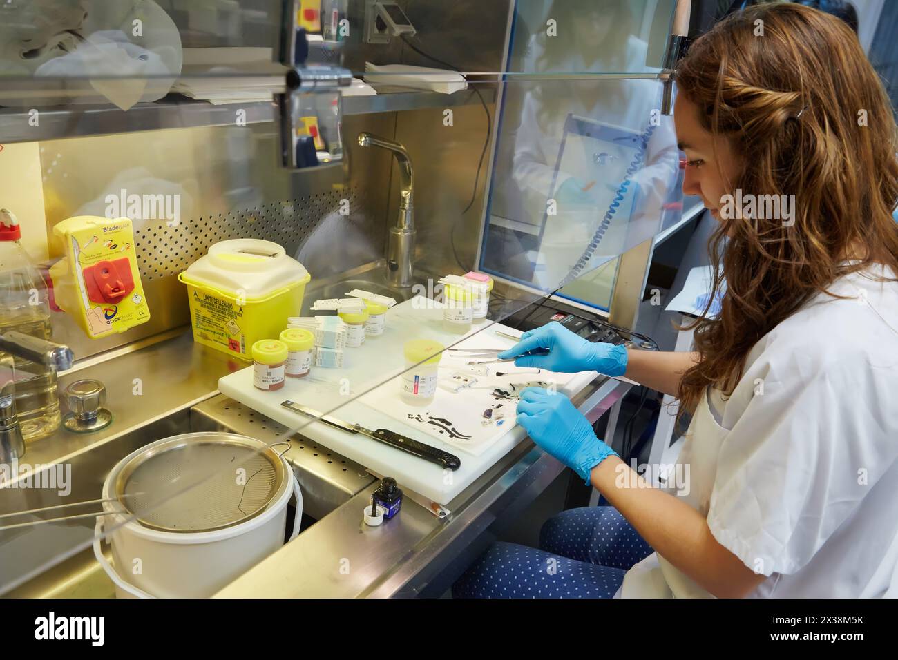 Human hair sample lab hi-res stock photography and images - Alamy