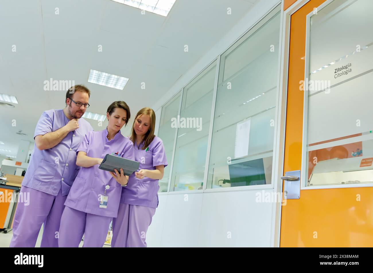 Laboratory, Anatomic Pathology, Hospital Donostia, San Sebastian ...