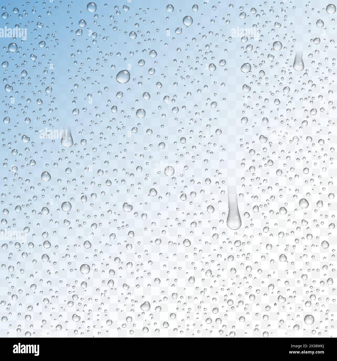 Vector realistic water drops condensed on transparent background. Rain droplets without shadows ...