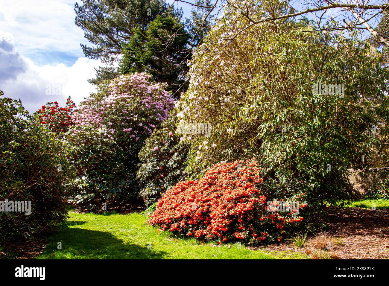 Dundee, Tayside, Scotland, UK. 25th Apr, 2024. UK Weather: Beautiful ...