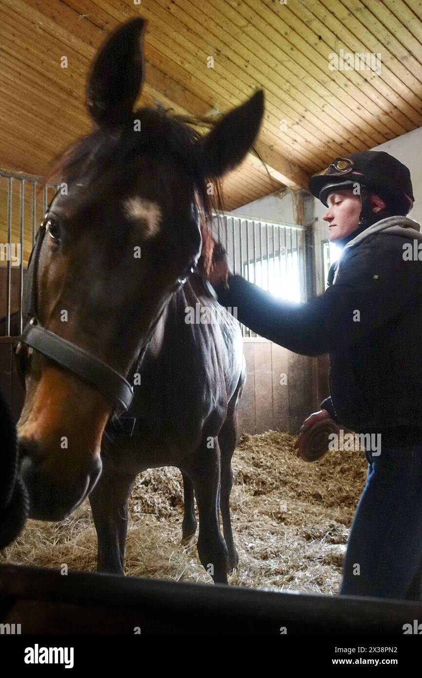 Pferdepflege hi-res stock photography and images - Alamy