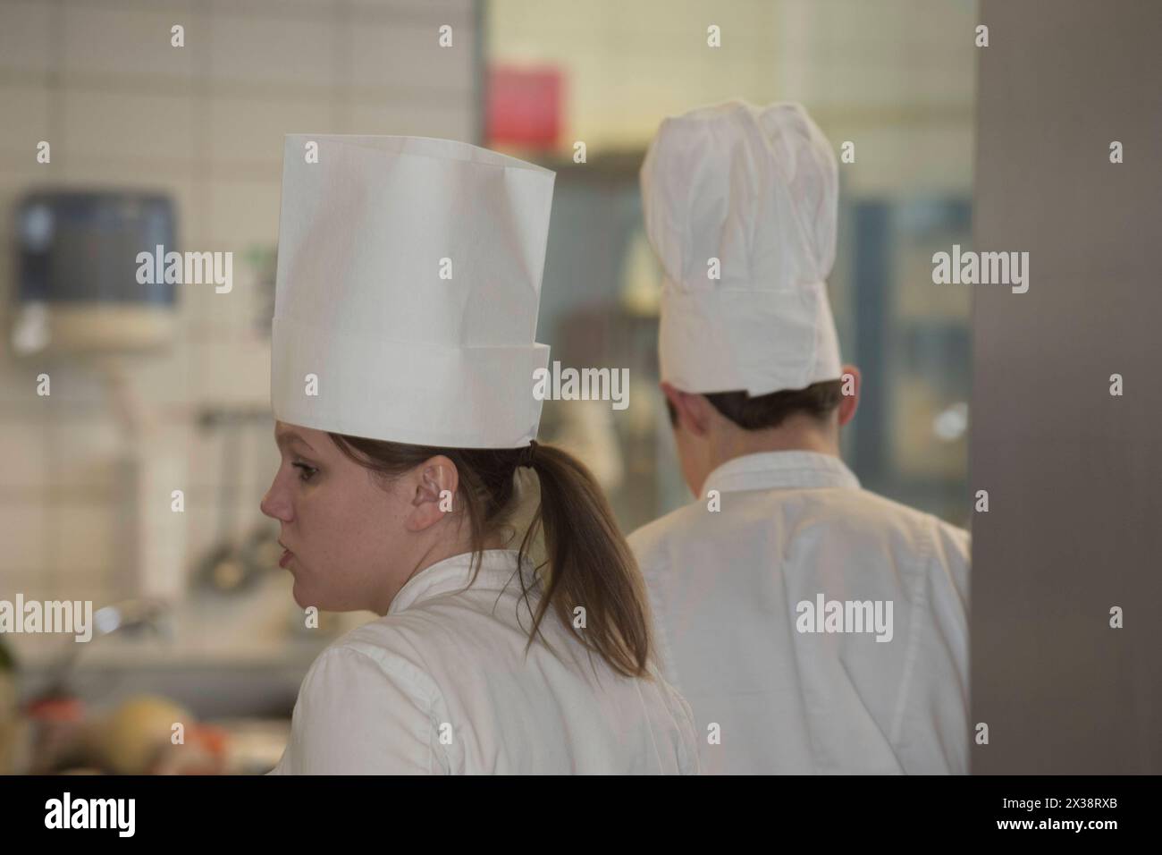 the cook or chef working in the kitchen working in the kitchen Stock ...