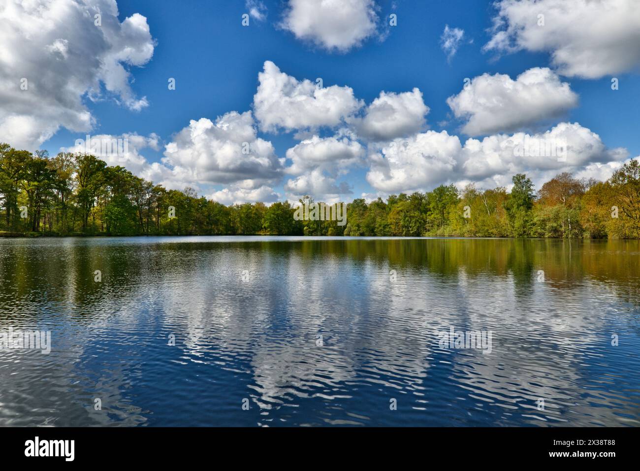 Panorama view of a small Lake with mirroring the blue Sky with puffy ...