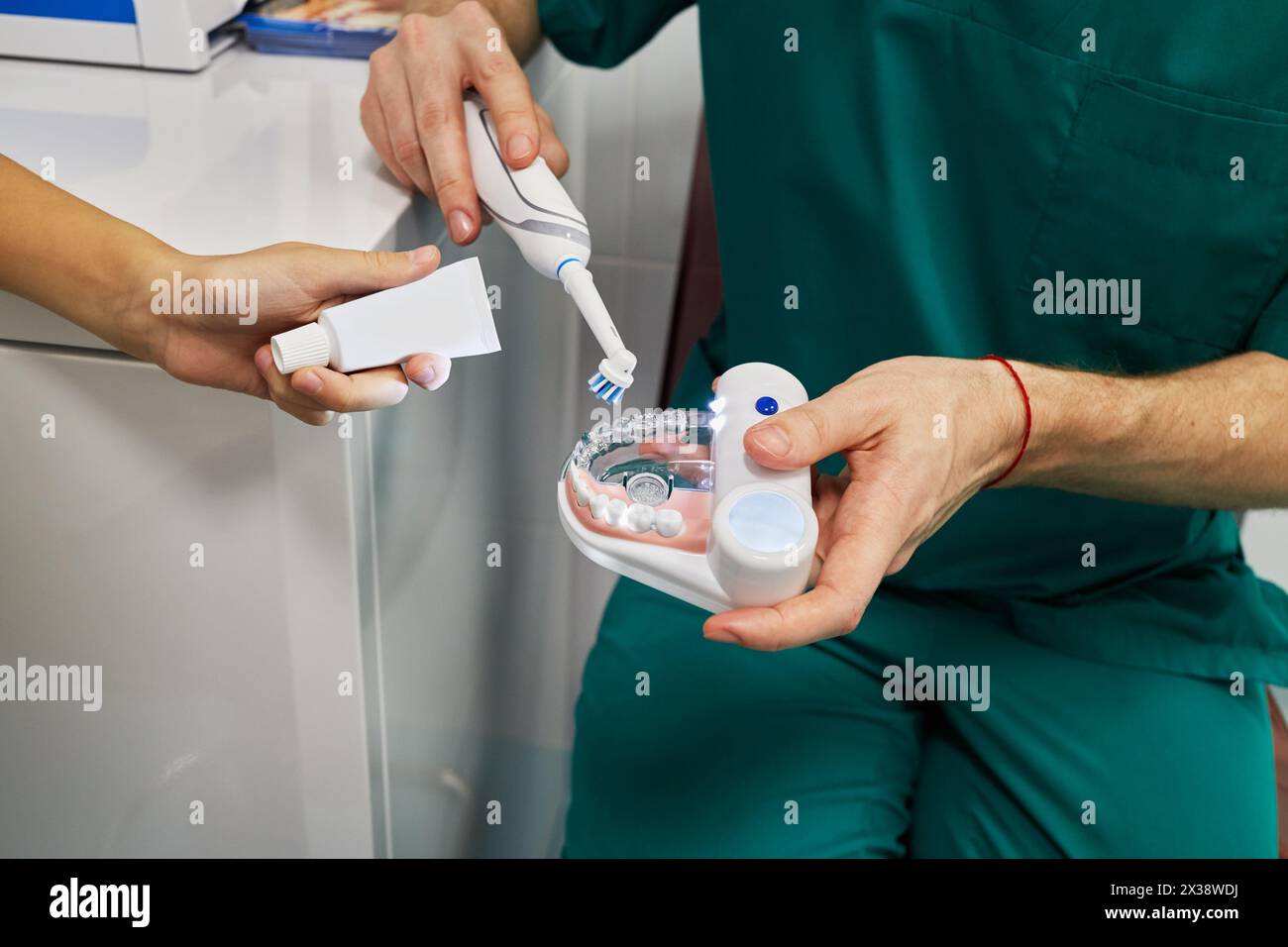 Doctor hands with plastic model of human jaw and electrical toothbrush ...