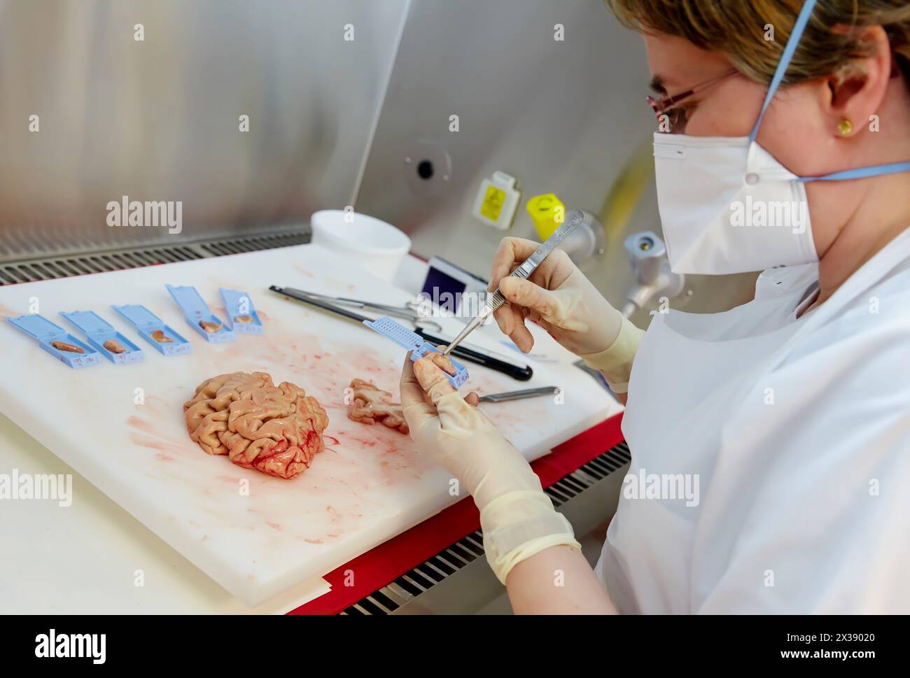 Selecting tissue sample hi-res stock photography and images - Alamy