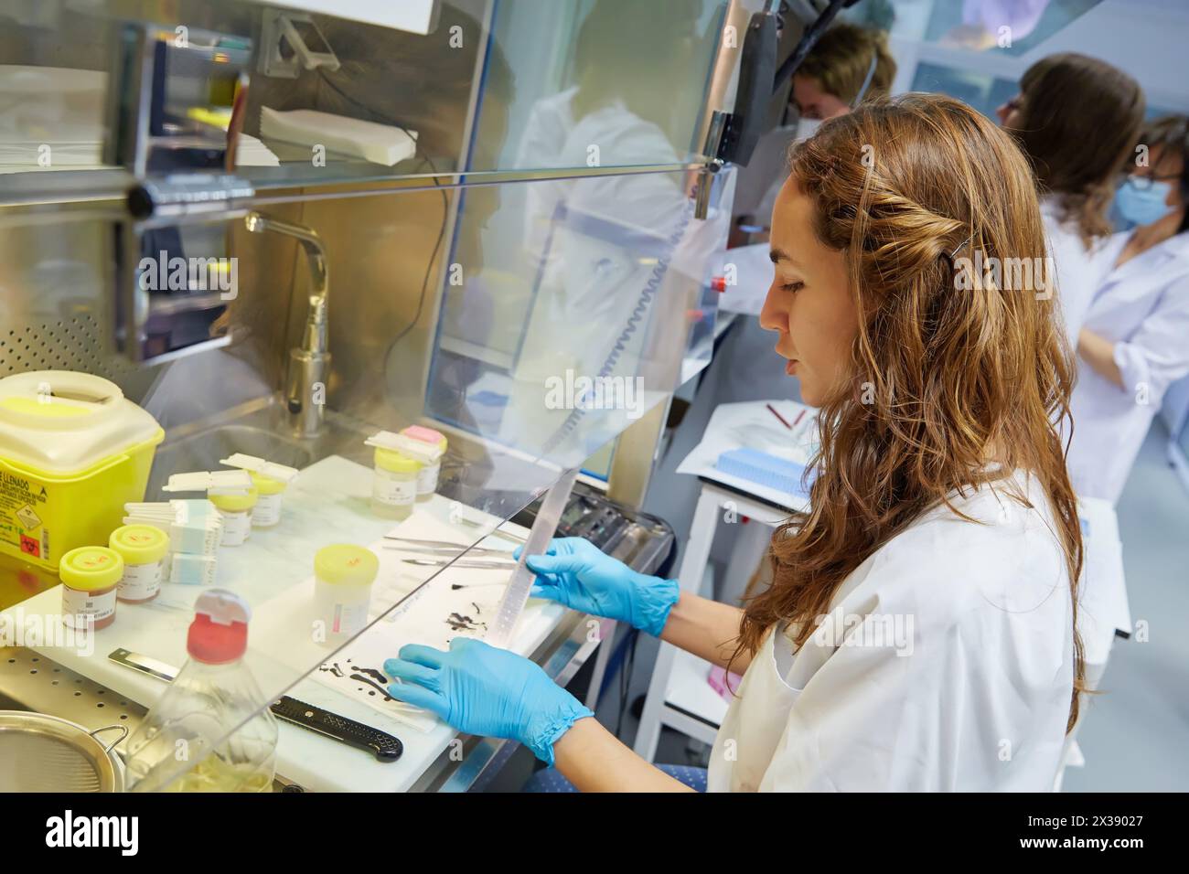 Human hair sample lab hi-res stock photography and images - Alamy