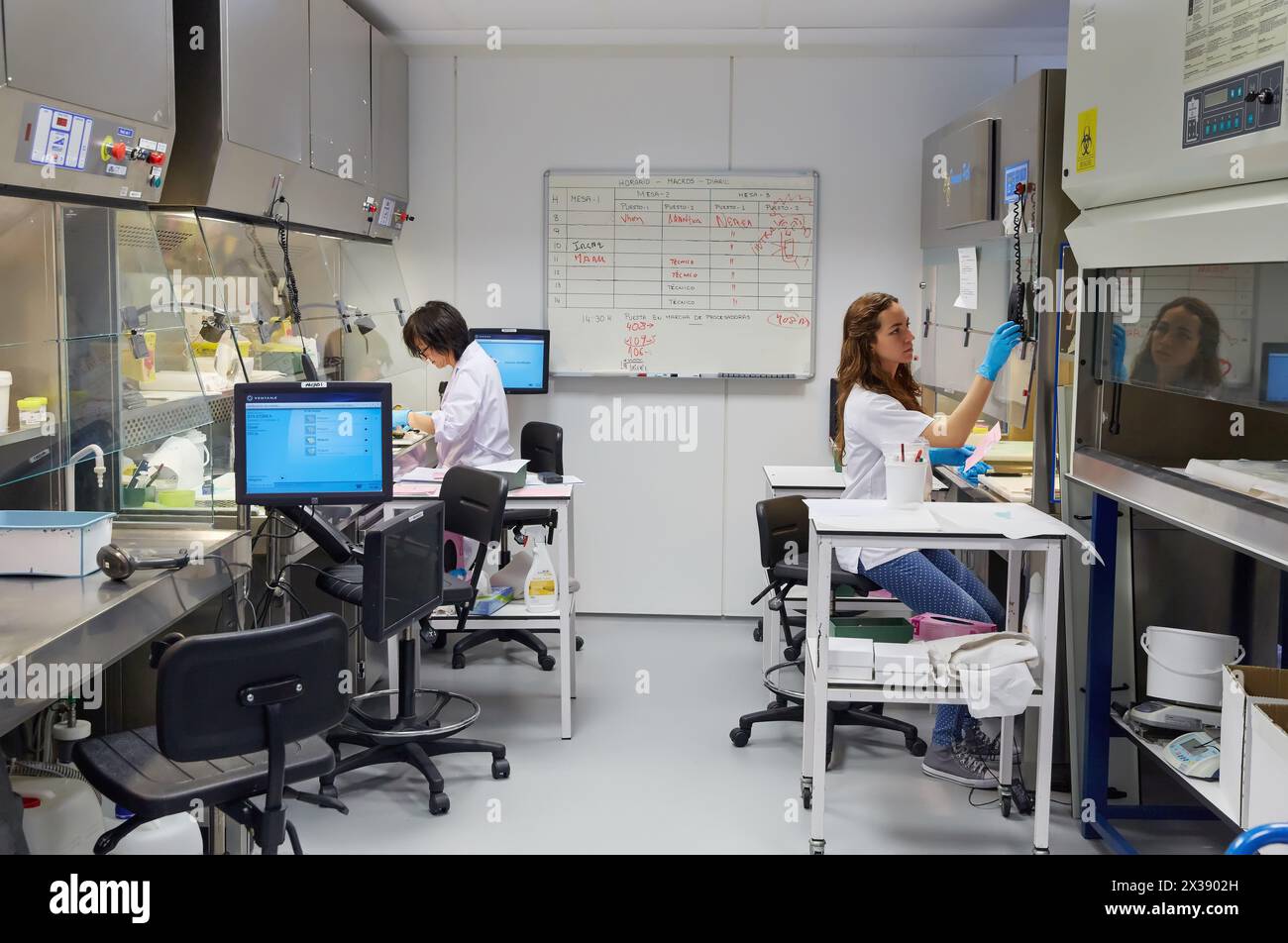 Macros area, Carving, Selecting tissue sample, Anatomic Pathology ...