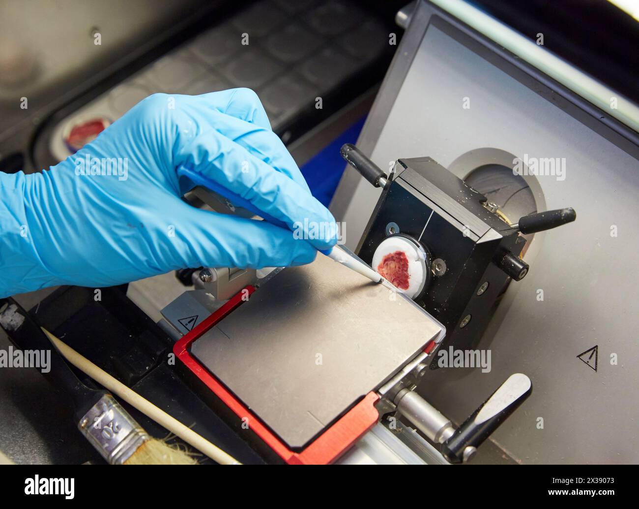 Cryostat for Standard Applications in the Clinical Histopathology ...
