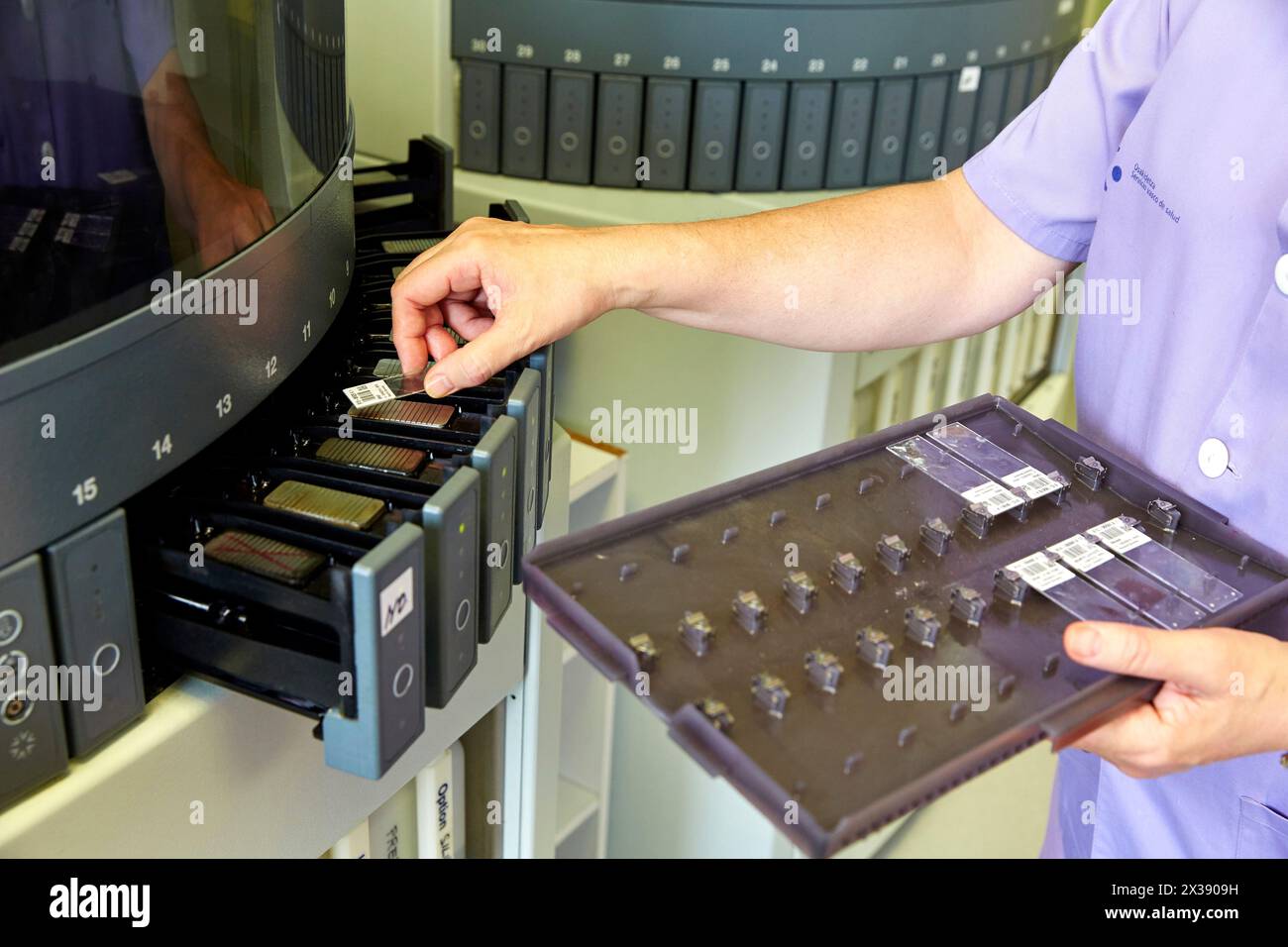 BenchMark IHC/ISH staining platforms automate the entire ...