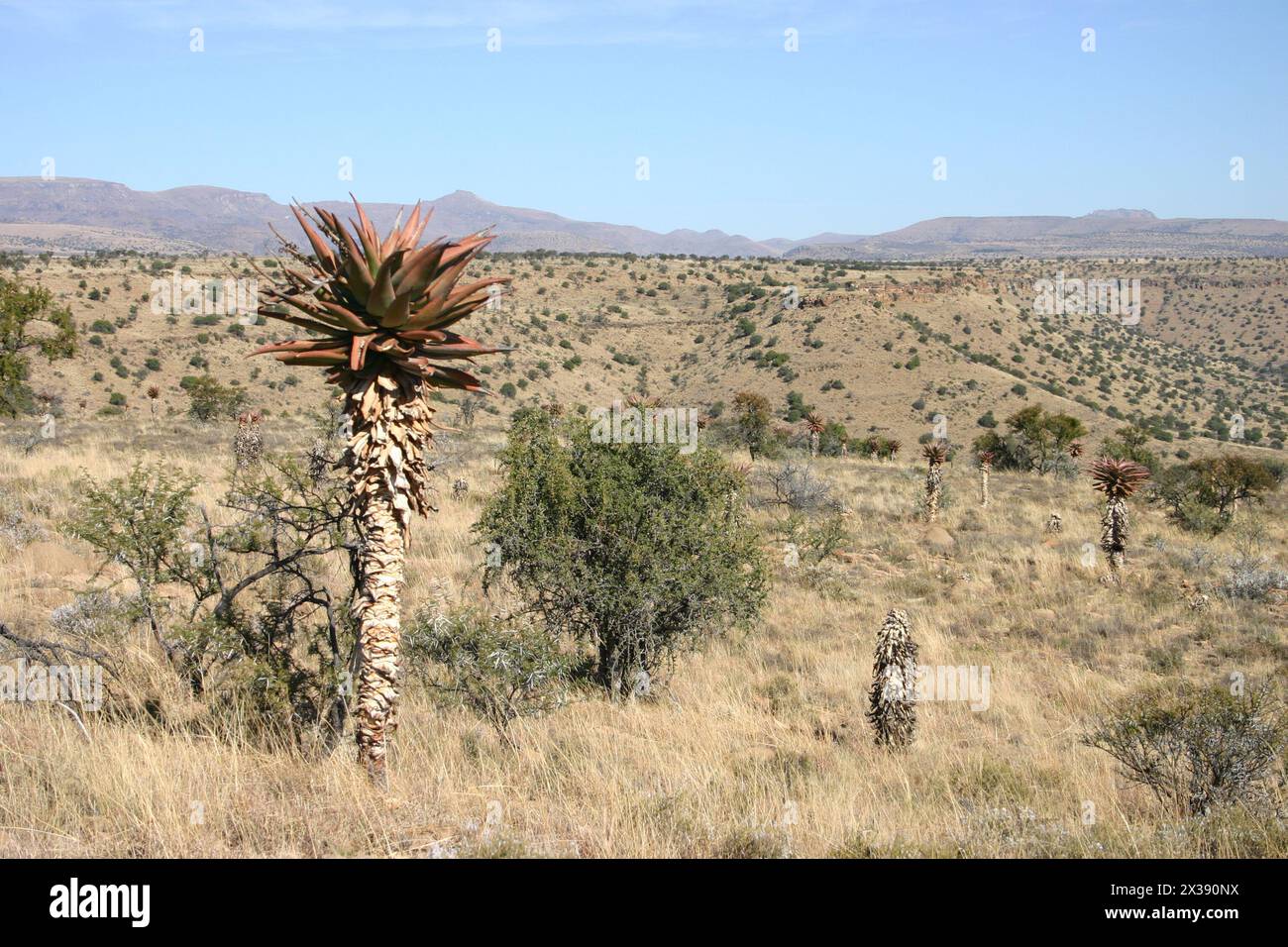 African scenery hi-res stock photography and images - Alamy
