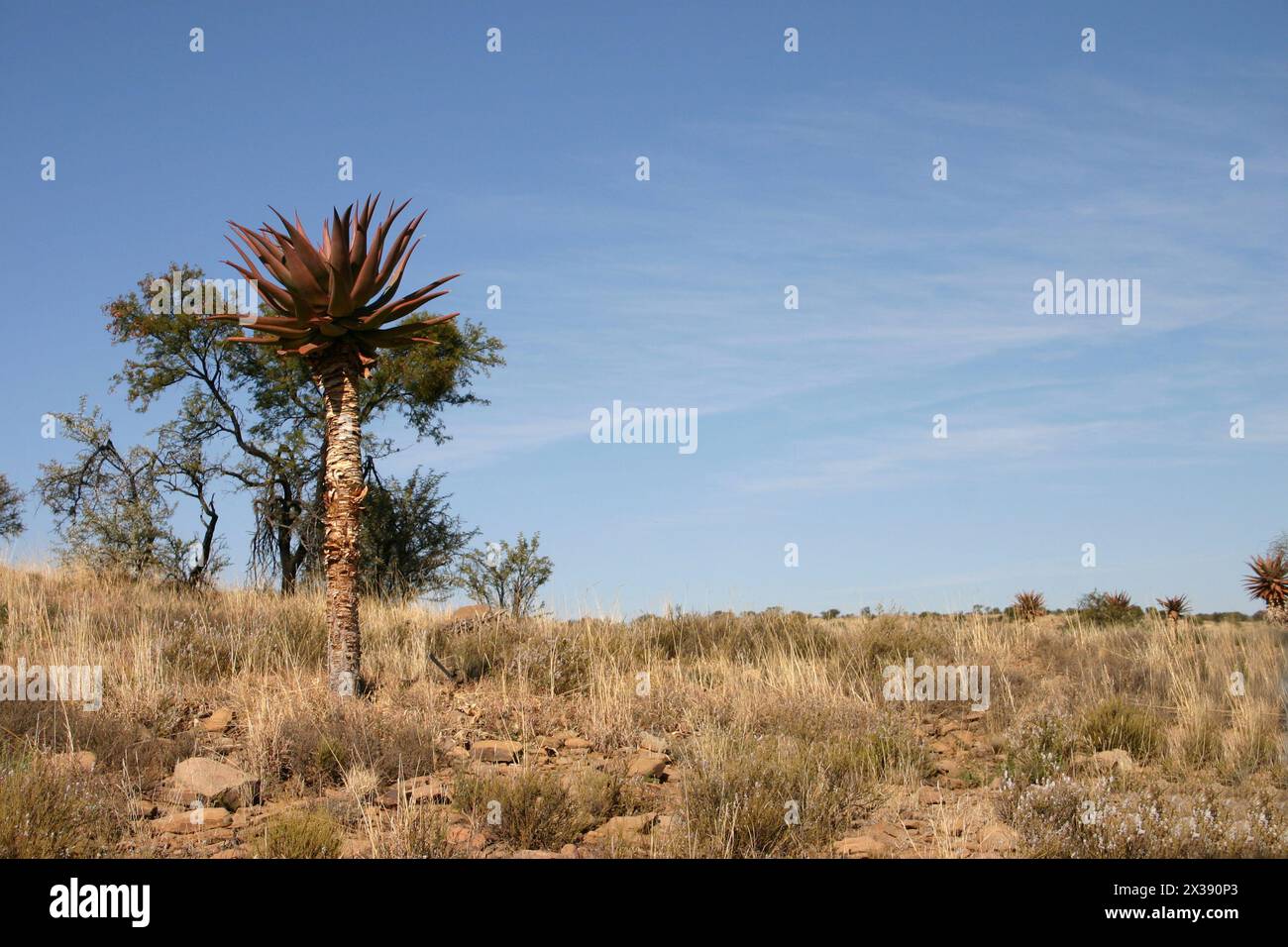 African scenery hi-res stock photography and images - Alamy