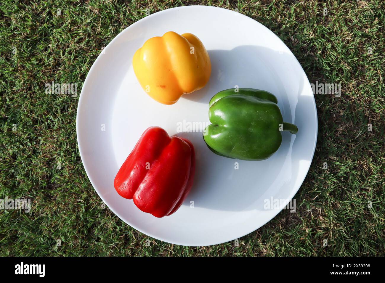 Three different types of Bell peppers in plate. Yellow, Red, Green ...
