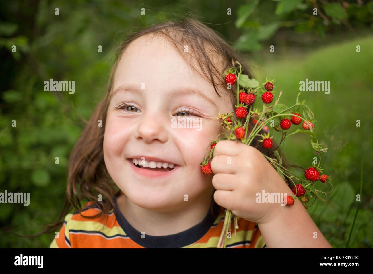 Little girl holds red wild strawberry and smiles outdoor, close up ...