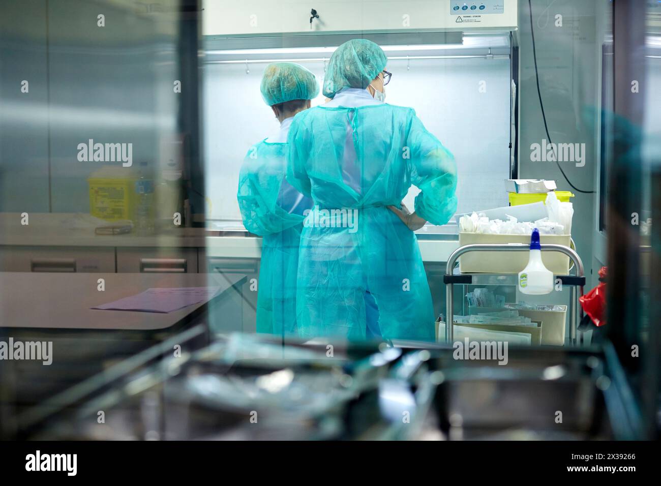 SAS window, Preparation of drugs, Clean room, Pharmacy, Hospital ...