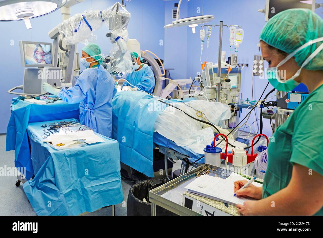 Male brain sebastian hi-res stock photography and images - Alamy