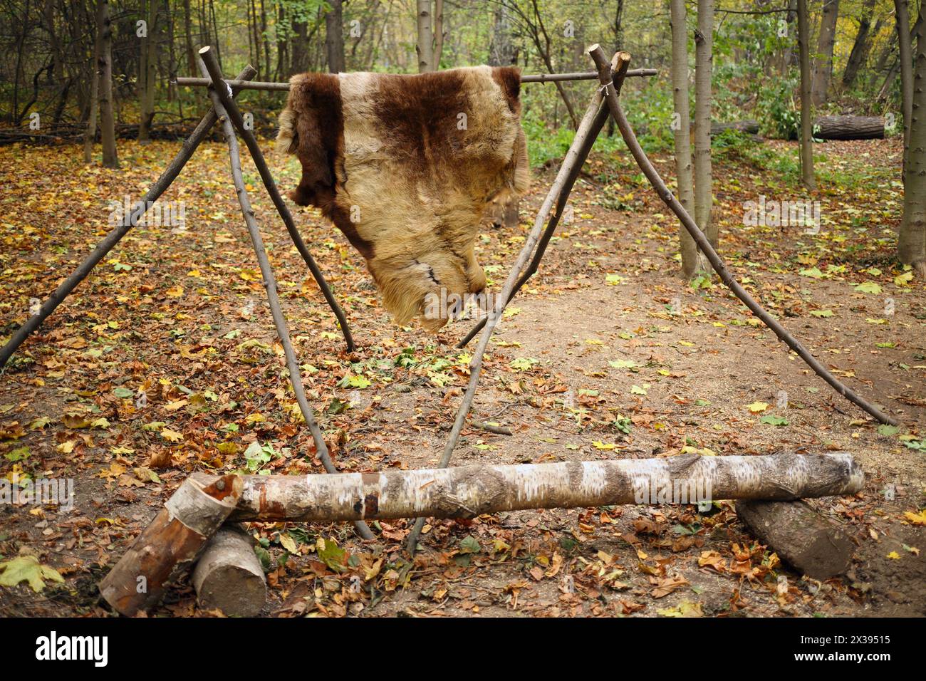 Aztec art trees hi-res stock photography and images - Alamy