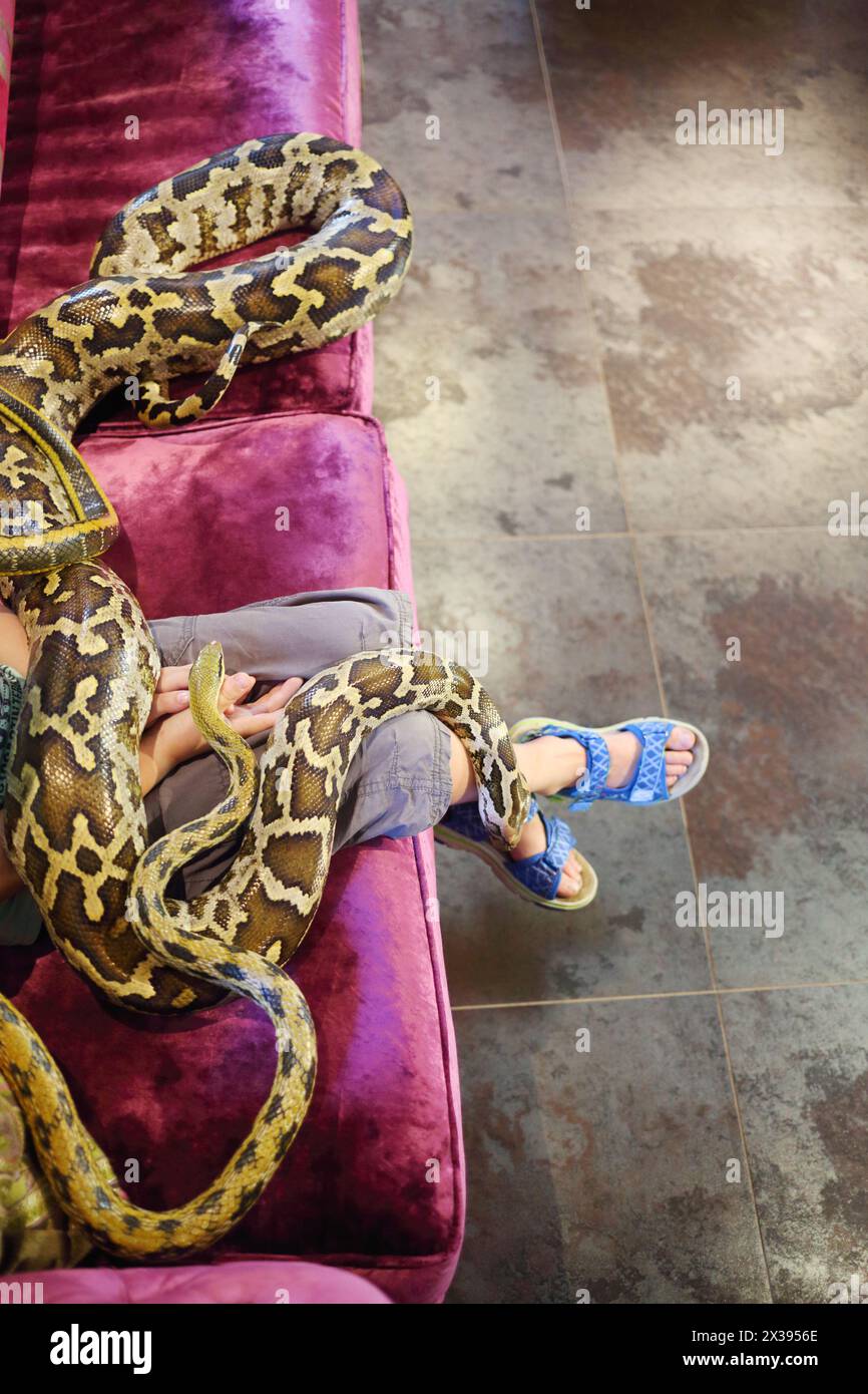 Velvet snake hi-res stock photography and images - Alamy