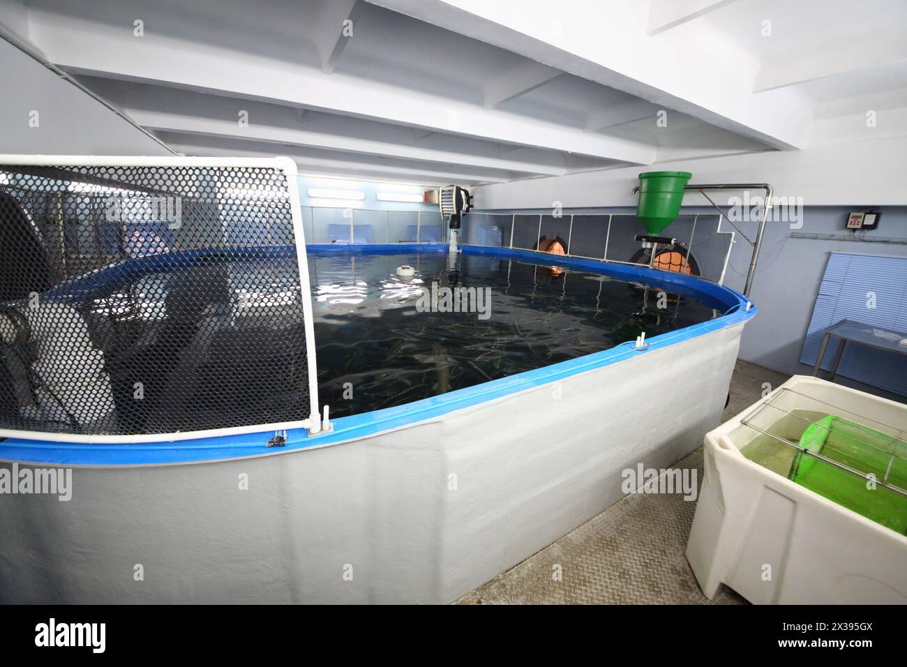 Big and small basin with water in empty workshop in fish-packing ...