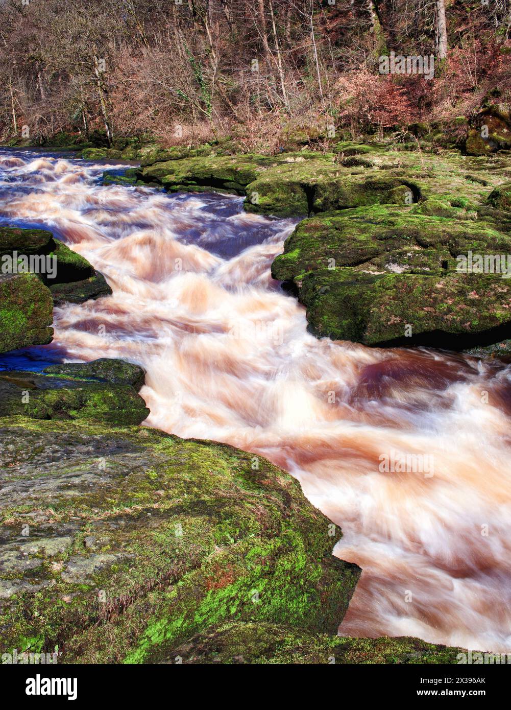 An abstract view showing the colours of the Strid, part of the River ...