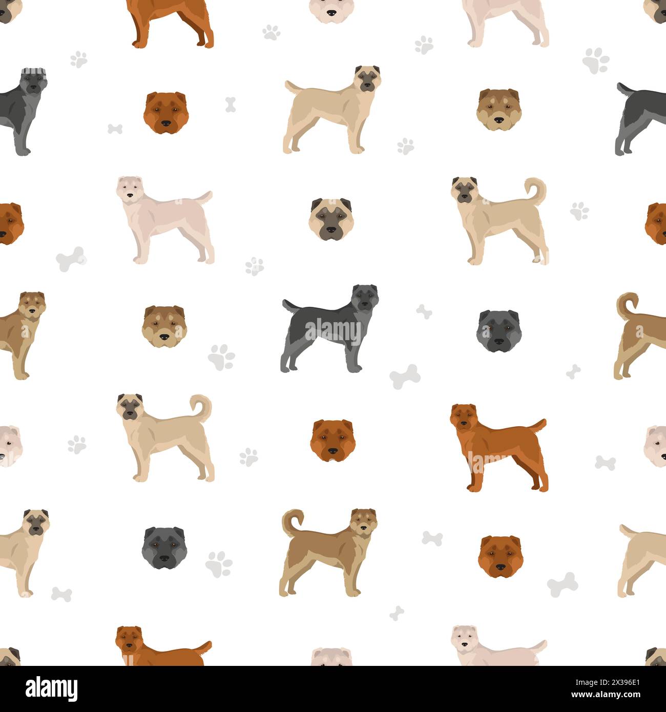 Armenian gampr dog Stock Vector Images - Alamy