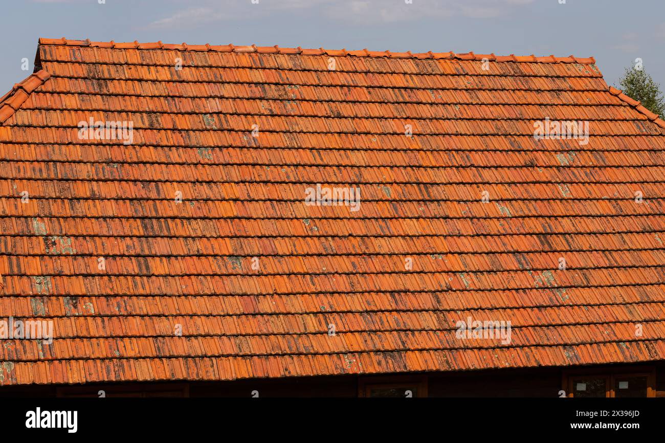 roof tile. tile roof of a old house. tile roofs used in old and modern ...